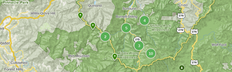 Best Forest Trails in Middle Prong Wilderness | AllTrails