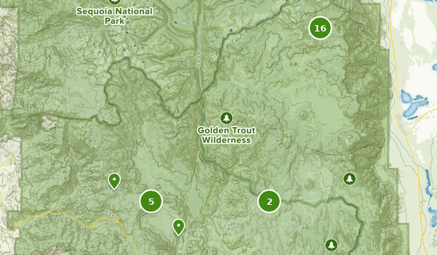 Best Wild Flowers Trails in Golden Trout Wilderness | AllTrails