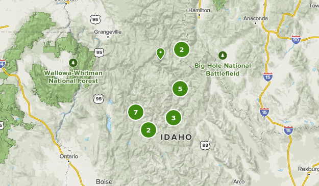 Best Bird Watching Trails in Frank Church-River of No Return Wilderness ...