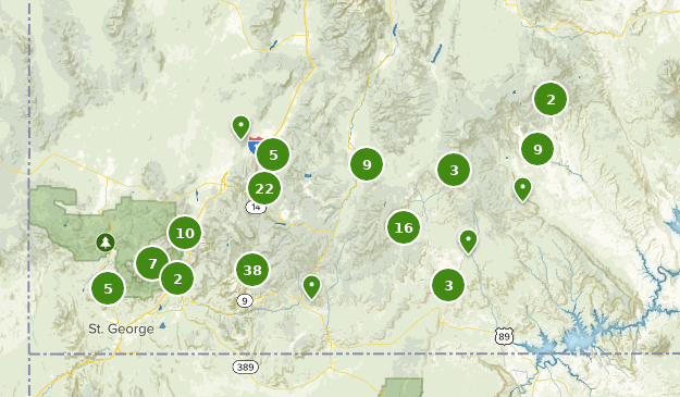Best Wild Flowers Trails in Dixie National Forest | AllTrails