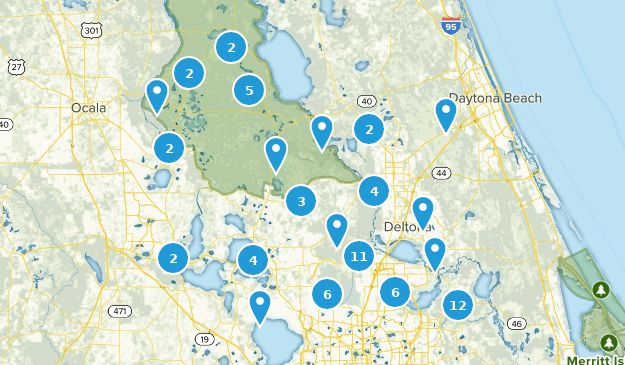 Best Forest Trails in Ocala National Forest | AllTrails