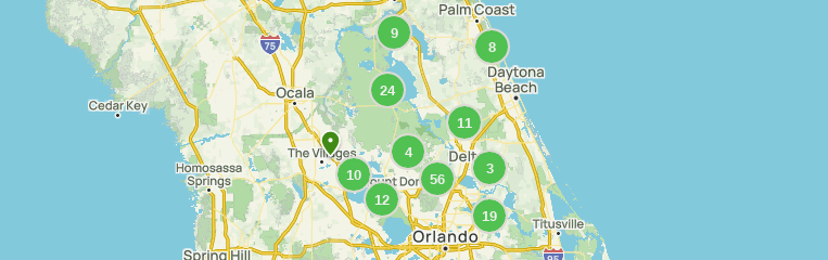 10 Best Forest Trails in Ocala National Forest | AllTrails