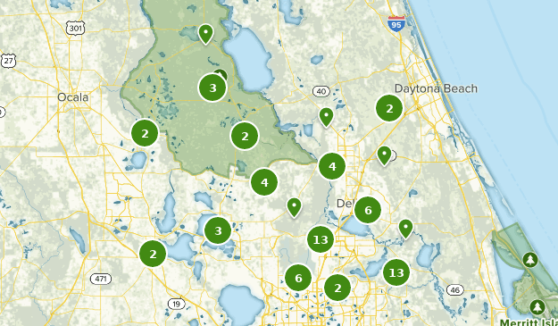 Best Running Trails in Ocala National Forest | AllTrails