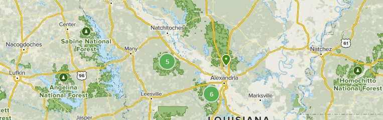 Best 10 Moderate Trails in Kisatchie National Forest | AllTrails