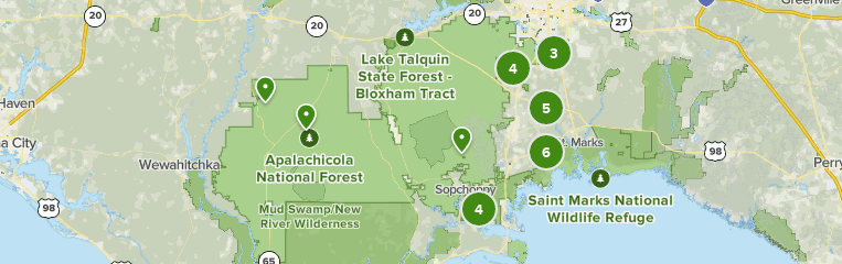 Apalachicola National Forest Map