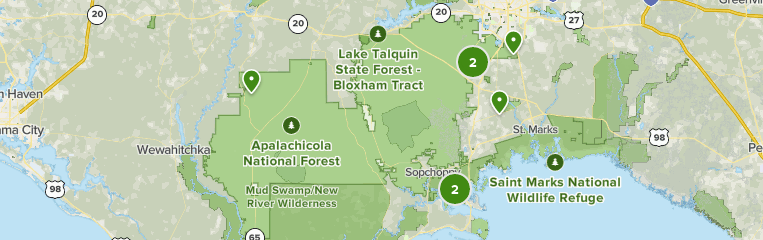 Apalachicola National Forest Map