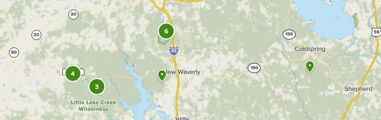 Best Bird Watching Trails in Sam Houston National Forest | AllTrails