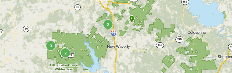 Best Camping Trails in Sam Houston National Forest | AllTrails