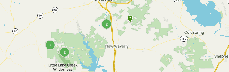 Best Camping Trails in Sam Houston National Forest | AllTrails