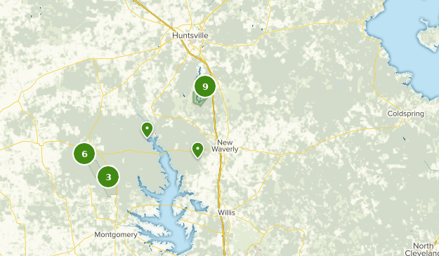 Best Forest Trails in Sam Houston National Forest | AllTrails