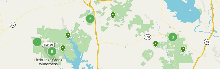 Best 10 Long Trails in Sam Houston National Forest | AllTrails