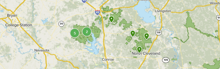 Best 10 Moderate Trails in Sam Houston National Forest | AllTrails