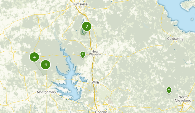 Best Walking Trails in Sam Houston National Forest | AllTrails