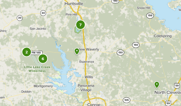 Best Walking Trails in Sam Houston National Forest | AllTrails