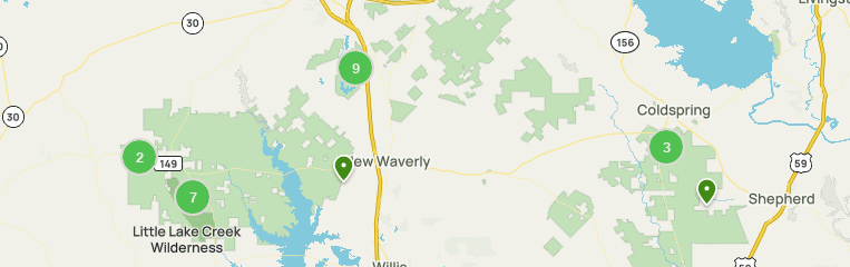 2023 Best Walking Trails in Sam Houston National Forest | AllTrails