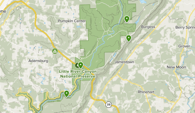 Best Views Trails in Little River Canyon National Preserve | AllTrails