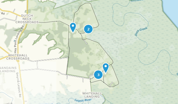 Best Bird Watching Trails in Bombay Hook National Wildlife Refuge ...