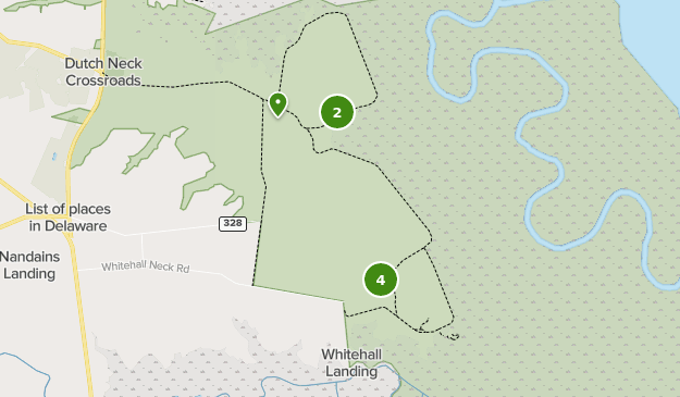 Best Bird Watching Trails in Bombay Hook National Wildlife Refuge ...
