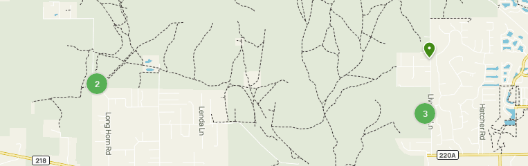 2023 Best Forest Trails in Jennings State Forest | AllTrails