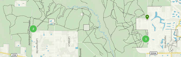 Best Forest Trails in Jennings State Forest | AllTrails