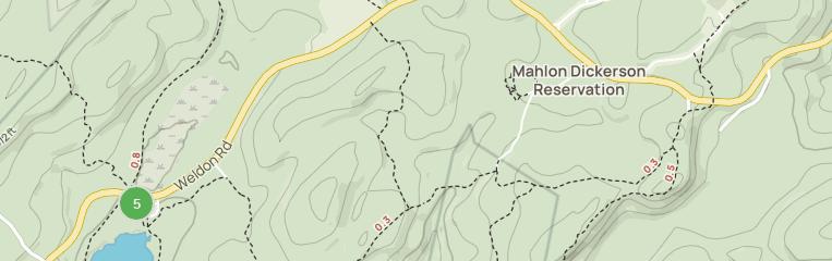Best Walking Trails in Mahlon Dickerson Reservation | AllTrails
