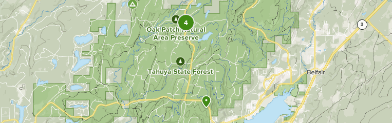 Best Easy Trails in Tahuya State Forest | AllTrails