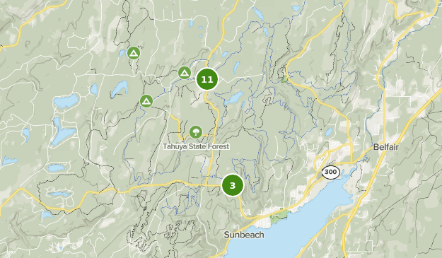 Best Forest Trails in Tahuya State Forest | AllTrails