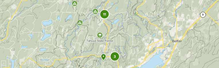 Best 10 Forest Trails in Tahuya State Forest | AllTrails