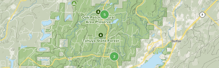 Best Moderate Trails in Tahuya State Forest | AllTrails
