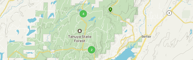 Best Moderate Trails in Tahuya State Forest | AllTrails