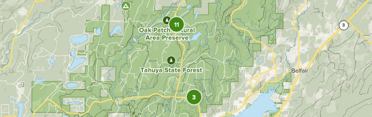 Best 10 Off Road Driving Trails in Tahuya State Forest | AllTrails