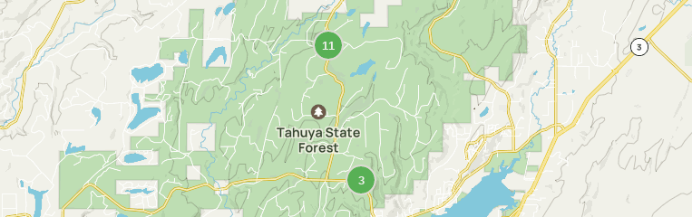 2023 Best 10 Off Road Driving Trails in Tahuya State Forest | AllTrails