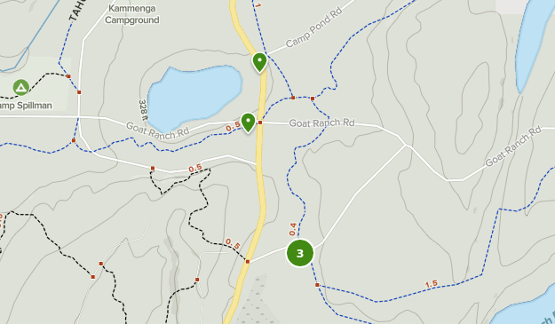 Best River Trails in Tahuya State Forest | AllTrails