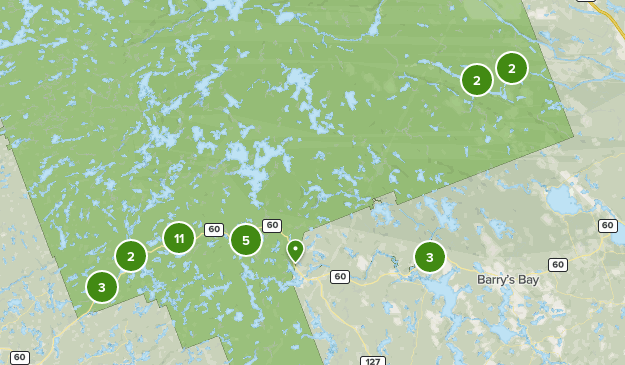 Best Walking Trails in Algonquin Provincial Park | AllTrails