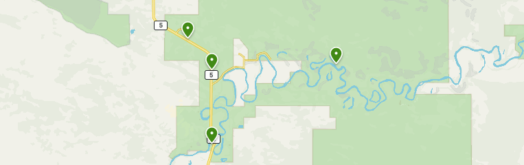 2023 Best Long Trails in Spruce Woods Provincial Park | AllTrails