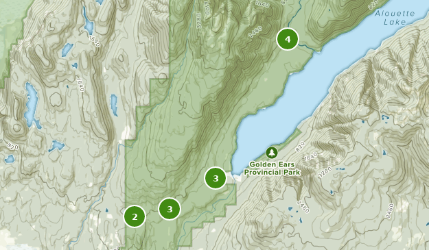 Best Walking Trails in Golden Ears Provincial Park | AllTrails