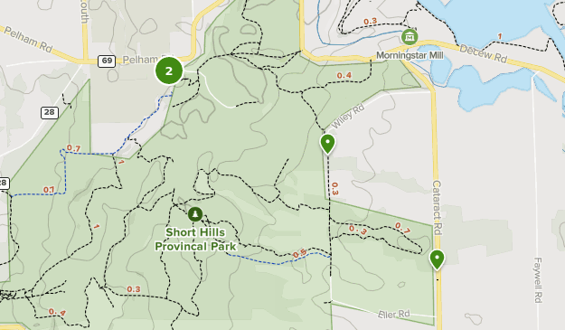 Best Forest Trails in Short Hills Provincial Park | AllTrails