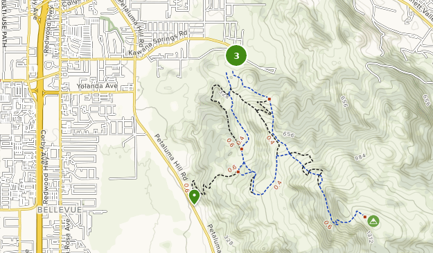 Best Running Trails in Taylor Mountain Regional Park and Open Space ...