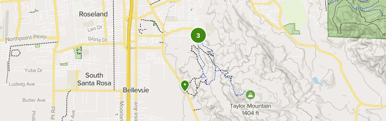 Best Trail Running Trails in Taylor Mountain Regional Park and Open ...