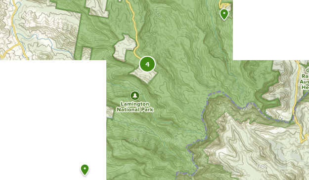 Best Bird Watching Trails in Lamington National Park | AllTrails