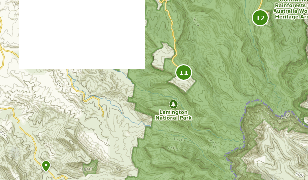 Best Forest Trails in Lamington National Park | AllTrails