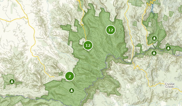 Best Walking Trails in Lamington National Park | AllTrails