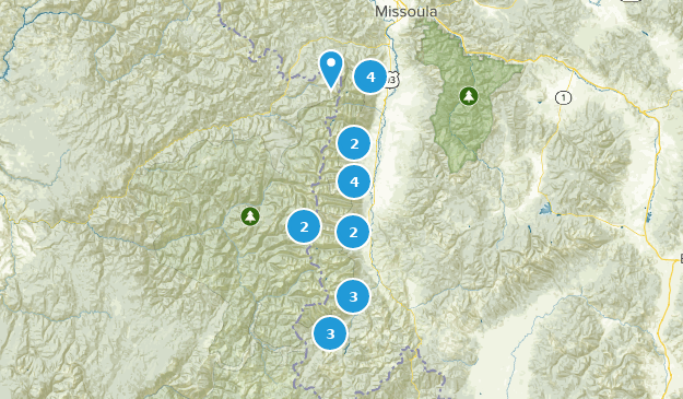 Best Wild Flowers Trails in Bitterroot National Forest | AllTrails