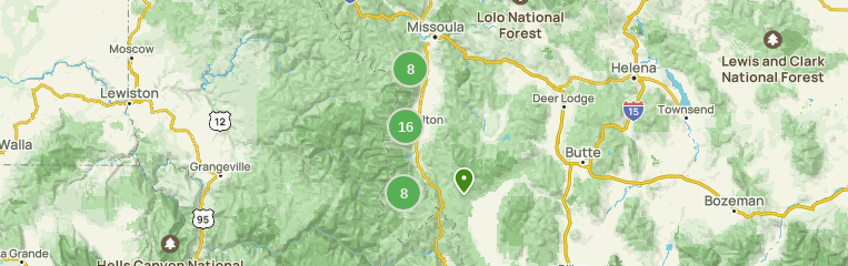 2023 Best 10 Wild Flowers Trails in Bitterroot National Forest | AllTrails