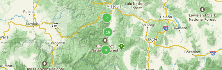 2023 Best 10 Wild Flowers Trails in Bitterroot National Forest | AllTrails