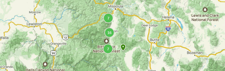 10 Best Wild Flowers Trails in Bitterroot National Forest | AllTrails