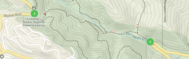 Best Forest Trails in Huckleberry Botanic Preserve | AllTrails