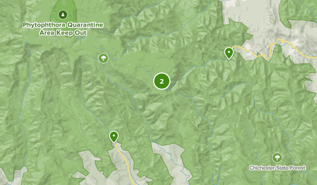 Best River Trails in Barrington Tops National Park | AllTrails