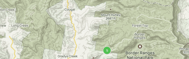Best Camping Trails in Border Ranges National Park | AllTrails