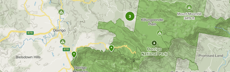 2023 Best Views Trails in Dorrigo National Park | AllTrails